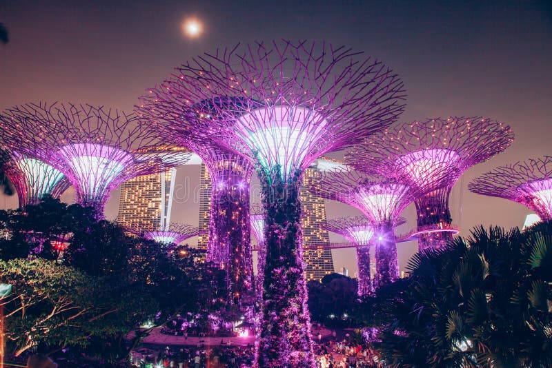 SINGAPORE, SINGAPORE - MARCH 2019: Supertrees Illuminated for Light ...
