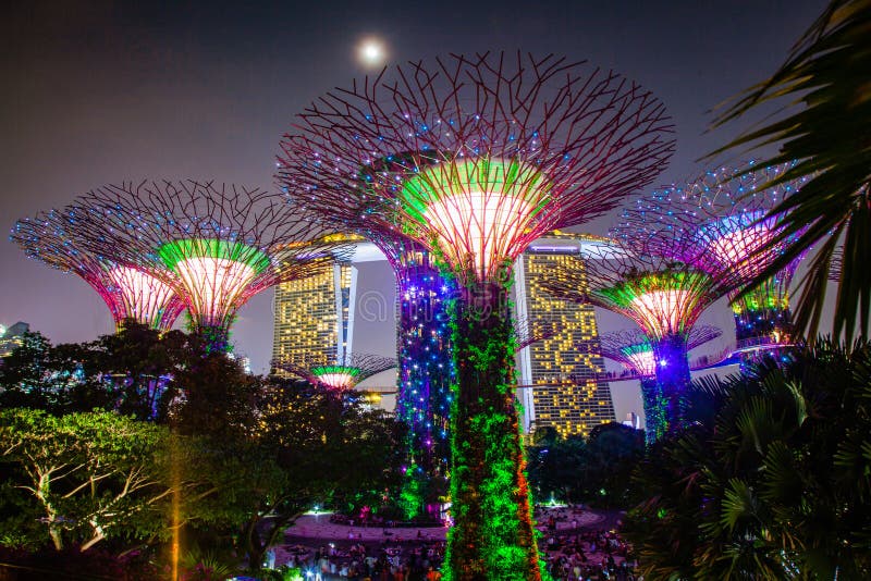 SINGAPORE, SINGAPORE - MARCH 2019: Supertrees Illuminated for Light ...