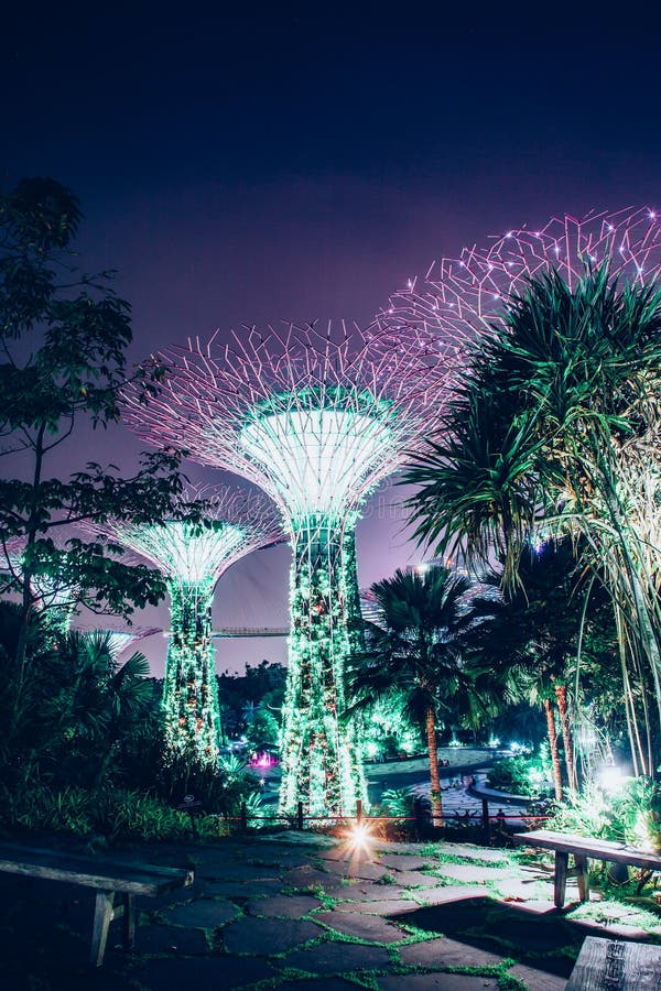 SINGAPORE, SINGAPORE - MARCH 2019: Supertrees Illuminated for Light ...
