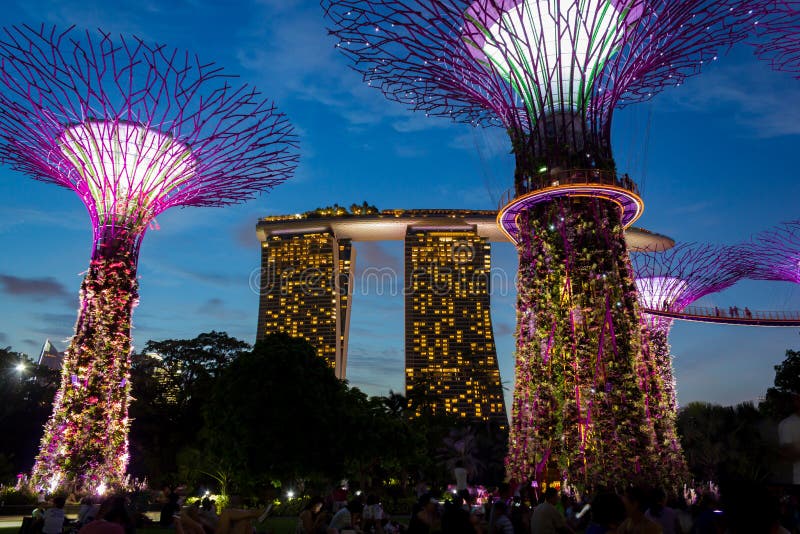 Singapore, Singapore - 28 March 2016: Supertrees Illuminated for Light ...