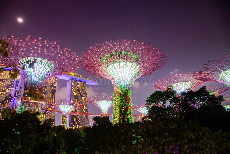 SINGAPORE, SINGAPORE - MARCH 2019: Supertrees Illuminated for Light ...