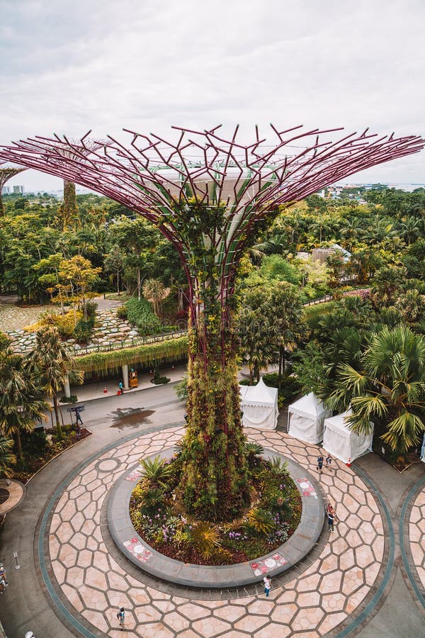 Supertrees at Gardens by the Bay in Singapore Editorial Stock Photo ...