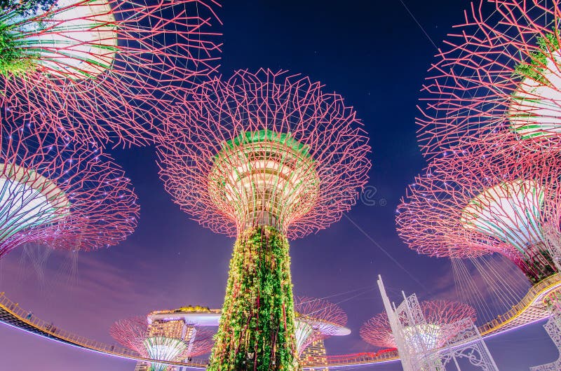 SINGAPORE - NOVEMBER 25, 2018: Night View of Supertrees at Gardens by ...