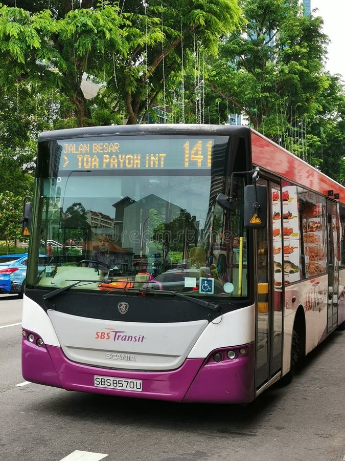 Singapore Public Bus Colorful Ride Editorial Stock Photo - Image of ...
