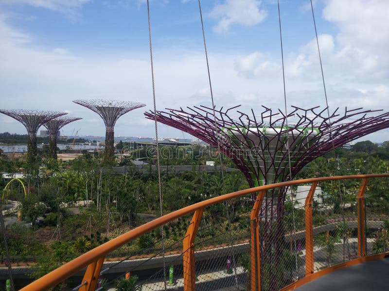 Singapore Recreational Facilities Stock Photo - Image of stadium ...