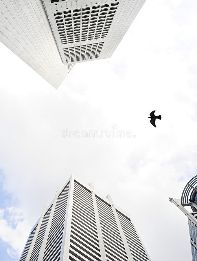 Singapore skyscrapers stock photo. Image of flying, bird - 30932796