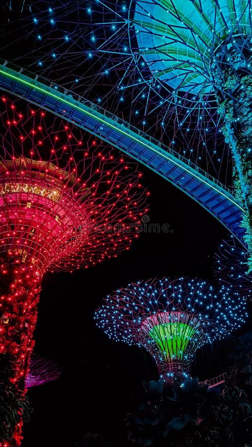 Singapore Supertree Groove Light Show Editorial Stock Photo - Image of ...