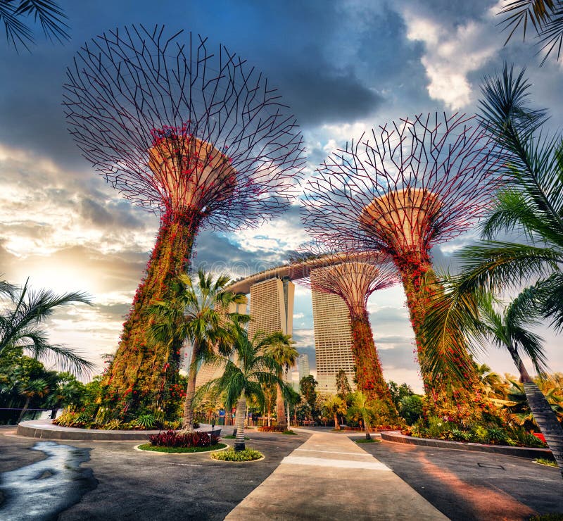 The Singapore supertrees stock photo. Image of modern - 39139338