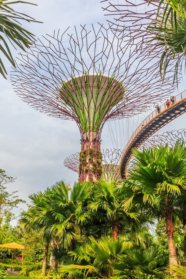 The Singapore supertrees stock photo. Image of modern - 39139338