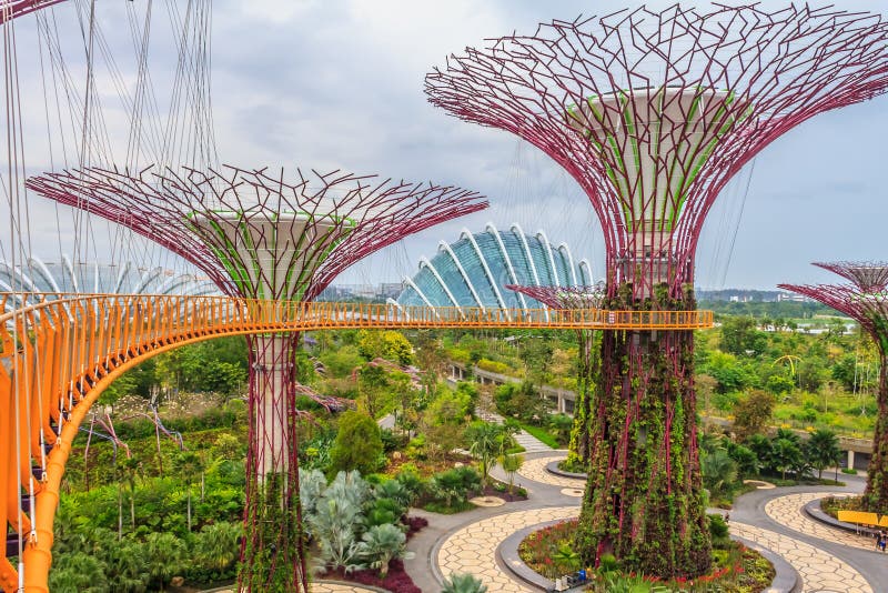The Singapore supertrees stock photo. Image of modern - 39139338