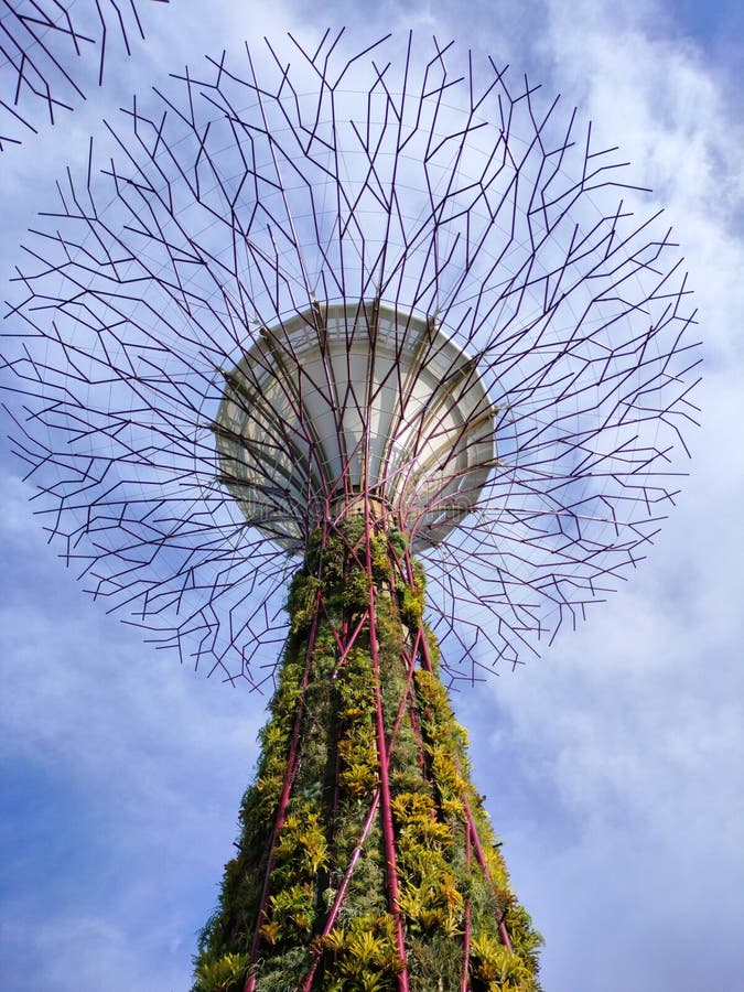 Singapore Three at Marina Bay the Bay Stock Image - Image of tree ...