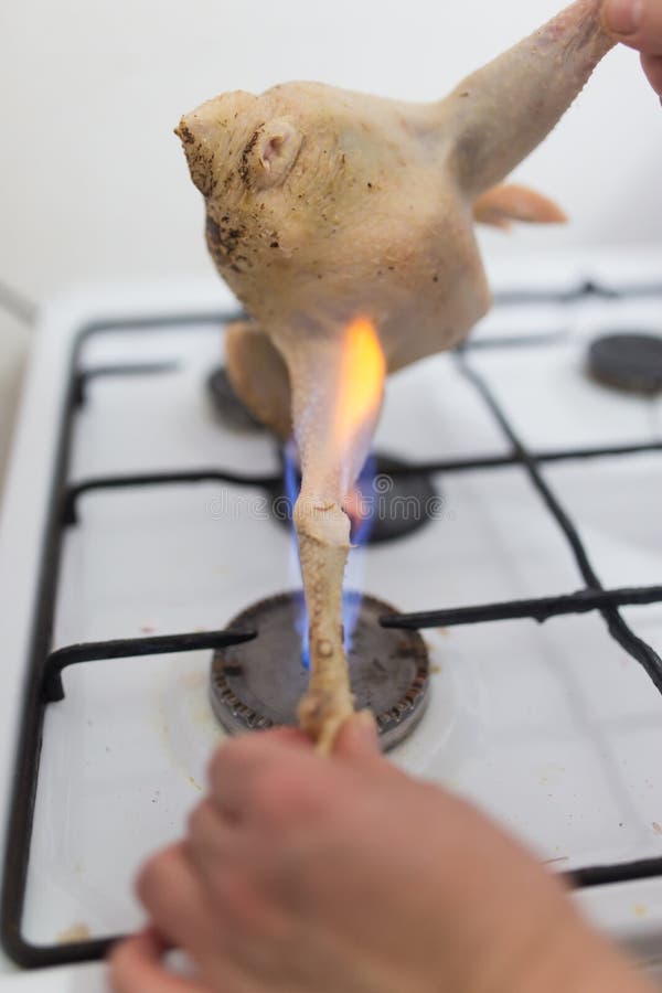 Singeing chicken on fire stock image. Image of barbecue - 106597703