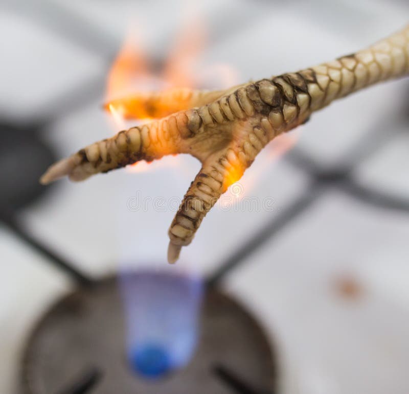 Singeing chicken on fire stock image. Image of smoke - 89019021