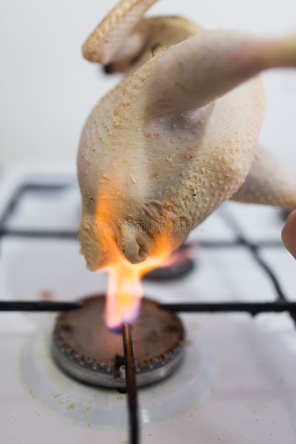 Singeing chicken on fire stock image. Image of roast - 110543087