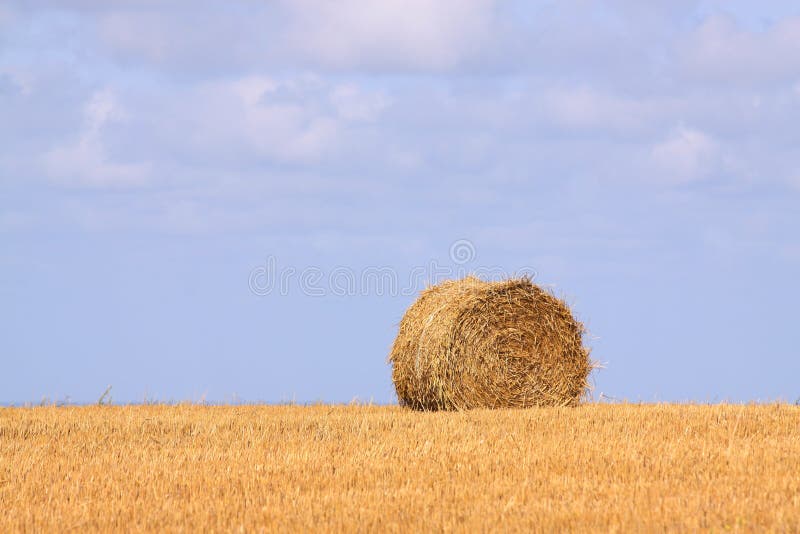 A Single Hay Bale stock photo. Image of summer, storage - 75177138