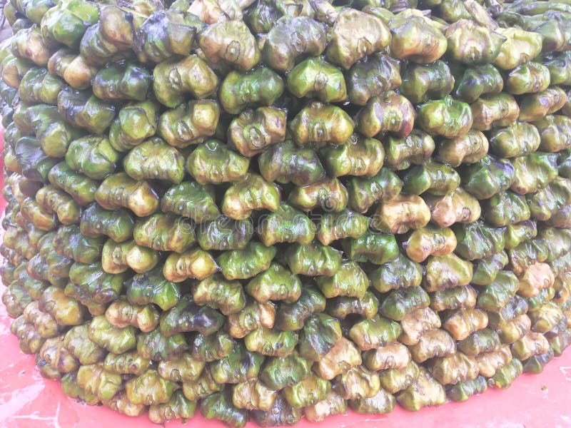 Singhara stock image. Image of caltrop, fruit, chestnut - 61638089