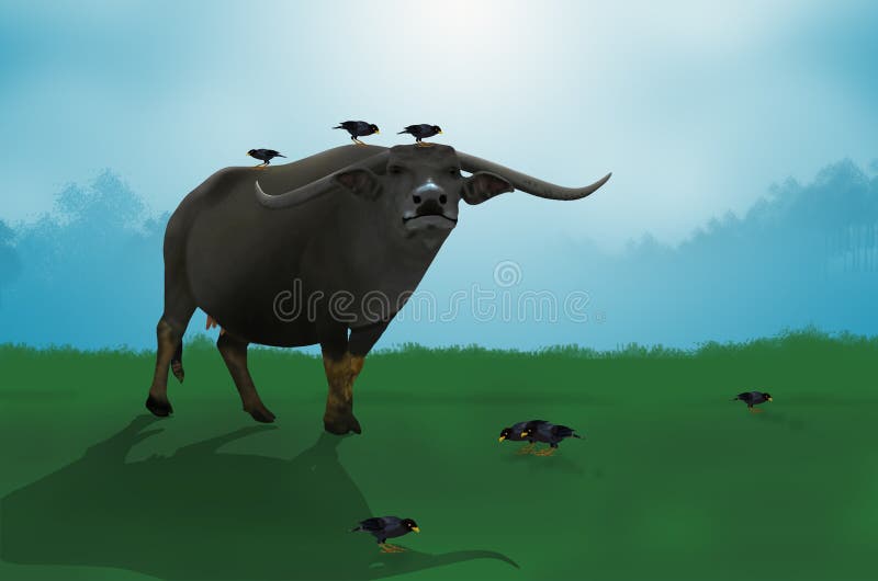 Singing minah and buffalo stock illustration. Illustration of bull ...