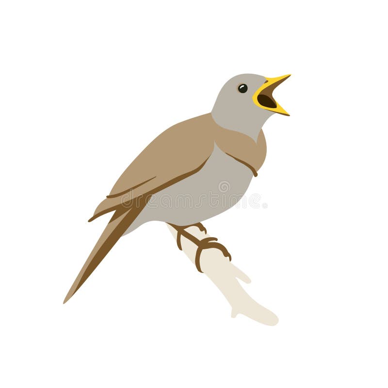 Nightingale Stock Illustrations – 1,583 Nightingale Stock Illustrations ...