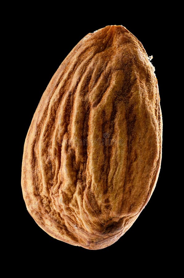 Single Almond Isolated on Black Background Stock Image - Image of ...