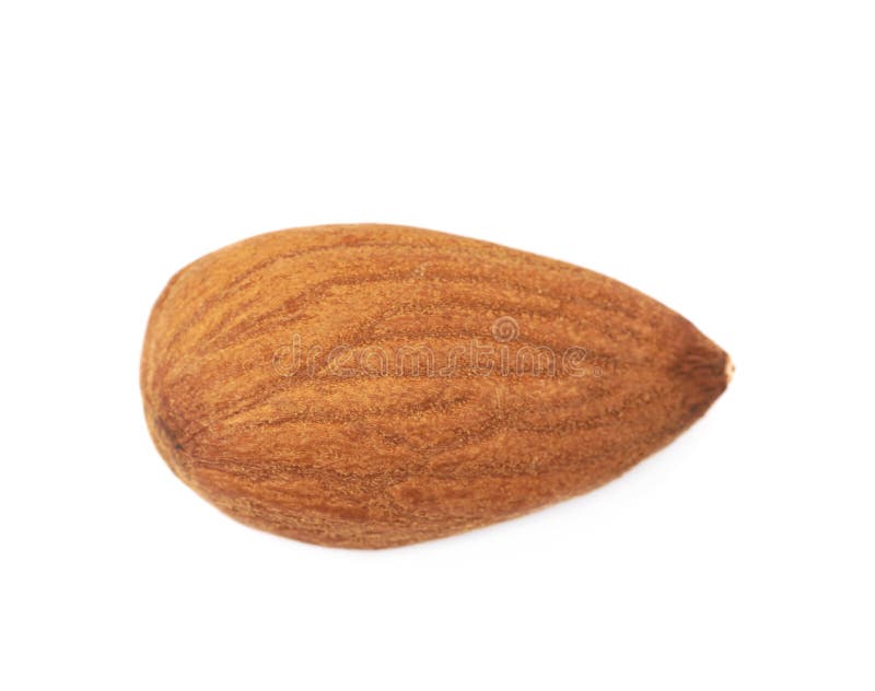 Single almond isolated stock image. Image of protein - 120438321