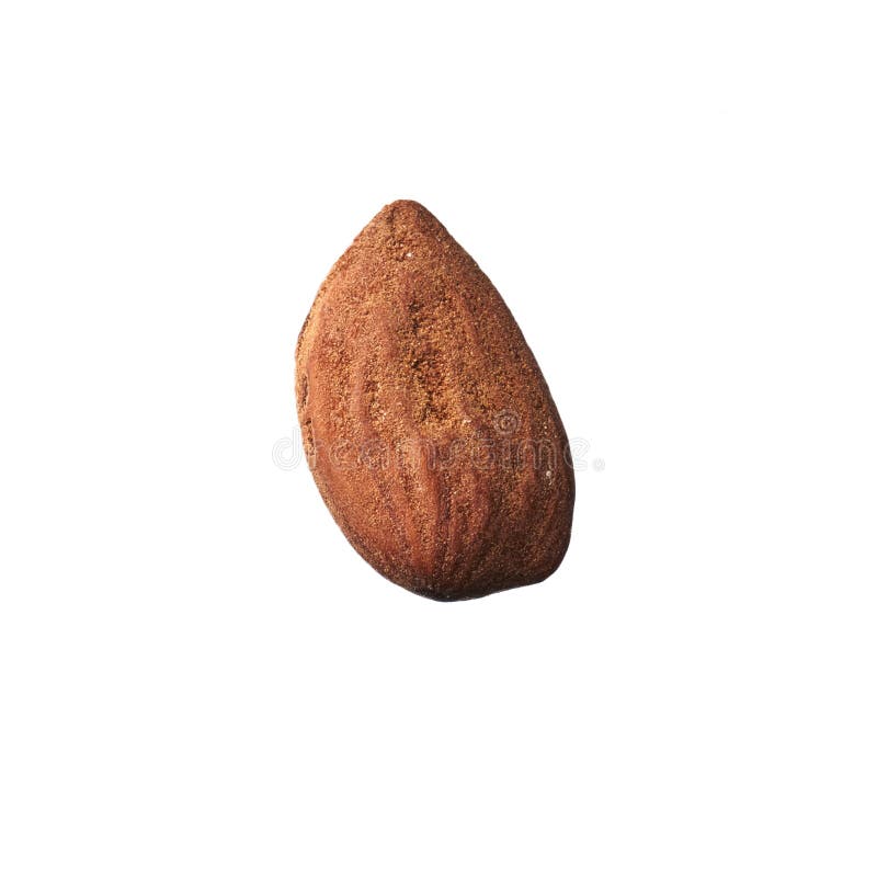 Single Almond Nut on White Background Stock Photo - Image of protein ...