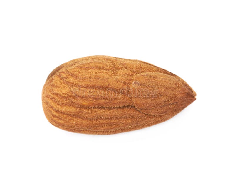 Single almond isolated stock image. Image of pile, almond - 120814363