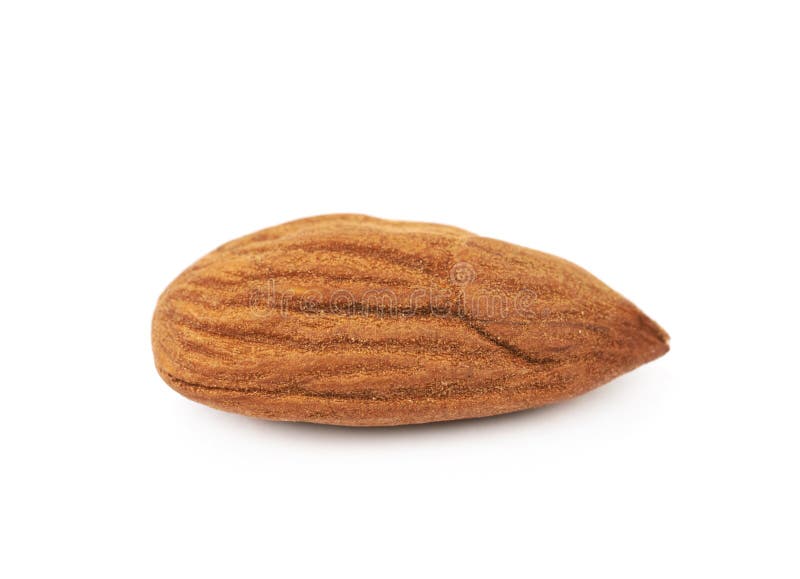 Single almond isolated stock image. Image of pile, almond - 120814363