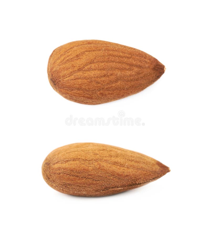 Single almond isolated stock image. Image of pile, almond - 120814363
