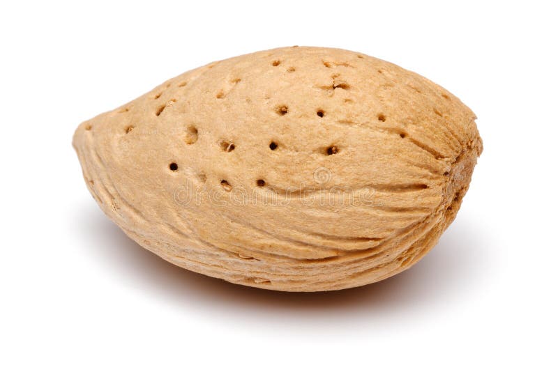 Single Almond Isolated on White Stock Photo - Image of fruit, cracked ...