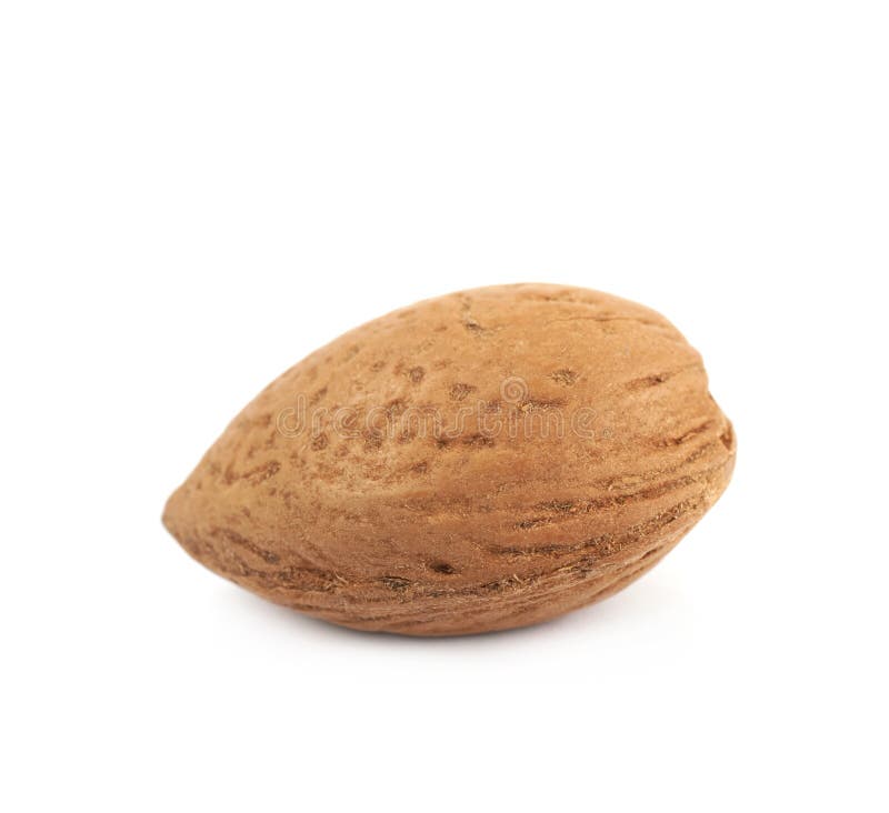 Single almond nut isolated stock image. Image of edible - 92010483