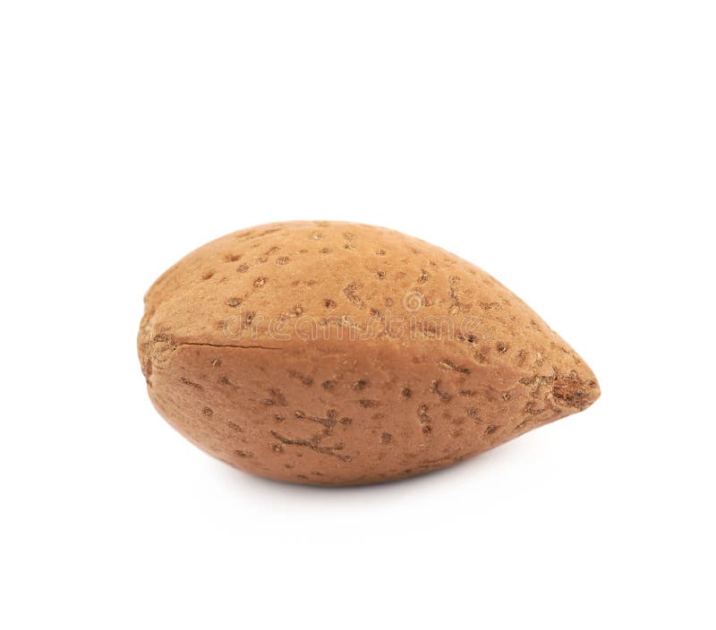Single almond nut isolated stock photo. Image of macro - 92010506