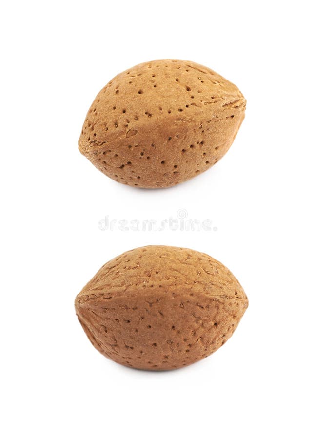 Single almond nut isolated stock photo. Image of macro - 93492826