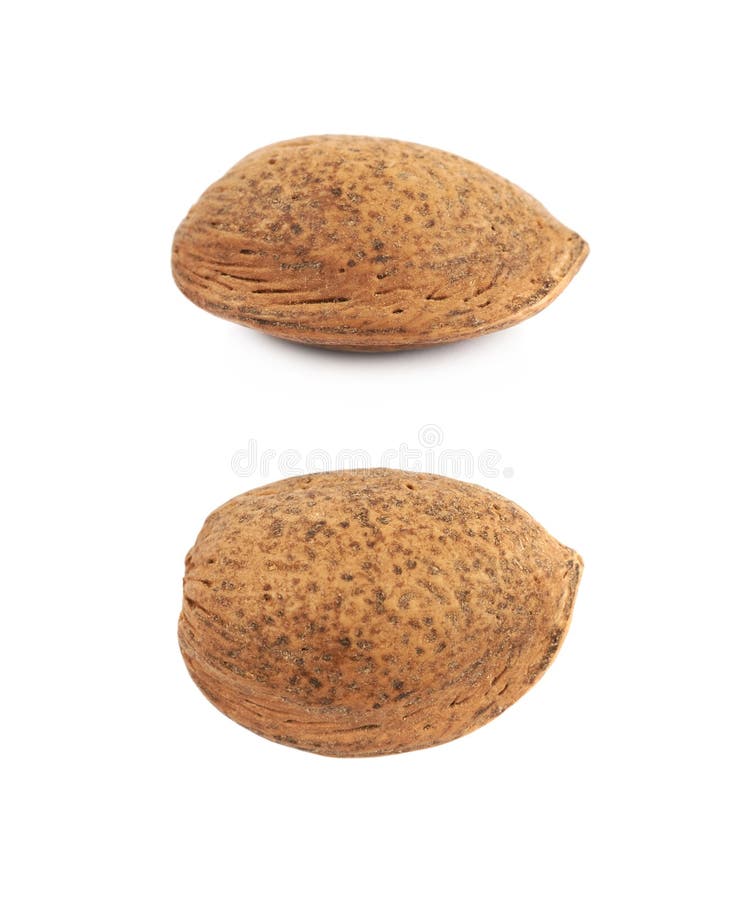 Single almond nut isolated stock image. Image of health - 93493057