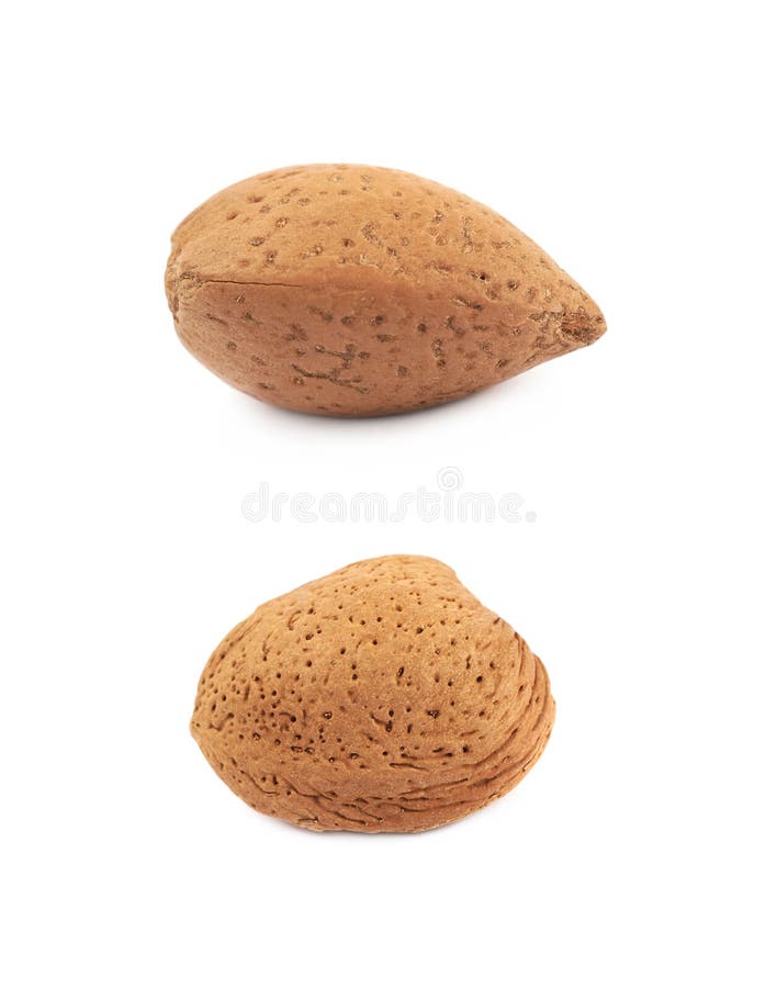 Single almond nut isolated stock image. Image of isolated - 93554133