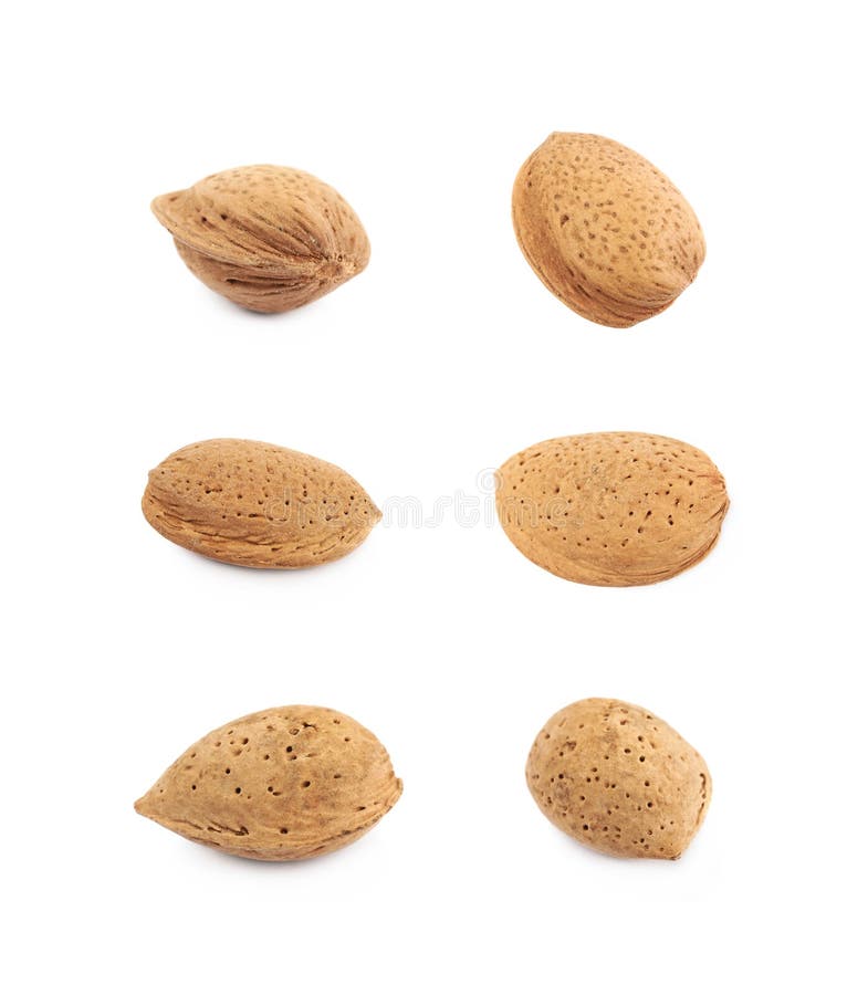 Single almond nut stock photo. Image of health, organic - 108115570