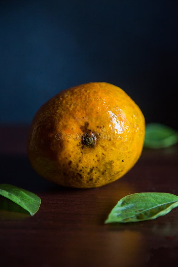 Single Alphonso Mango Against Dark Background Stock Photo - Image of ...