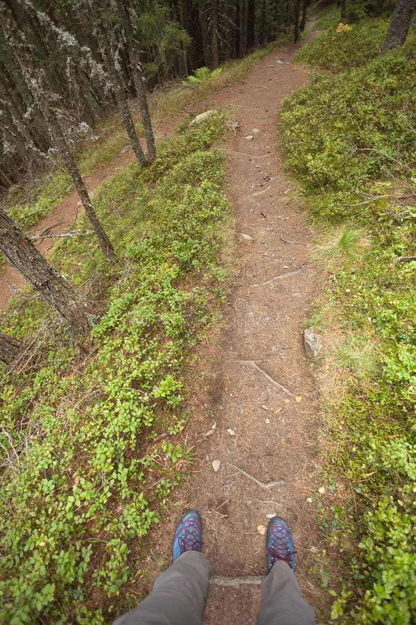 A Single Alpine Path Splits in Two Different Directions. it S an Stock ...