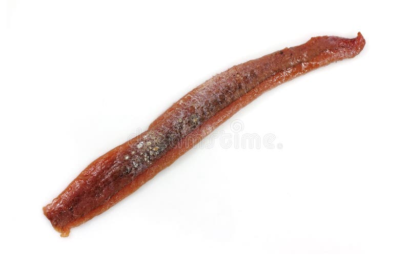 Single Anchovy Fillet stock image. Image of view, fillet - 20475133