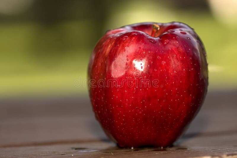 Single Apple stock image. Image of apple, delicious, healthy - 11272207