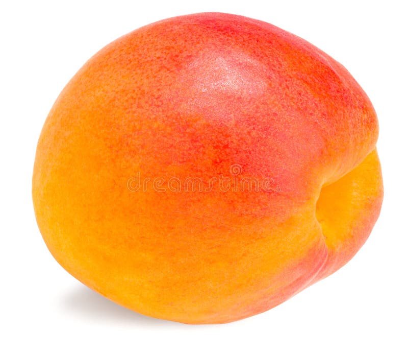 Single apricot with leaf stock image. Image of isolated - 272116105