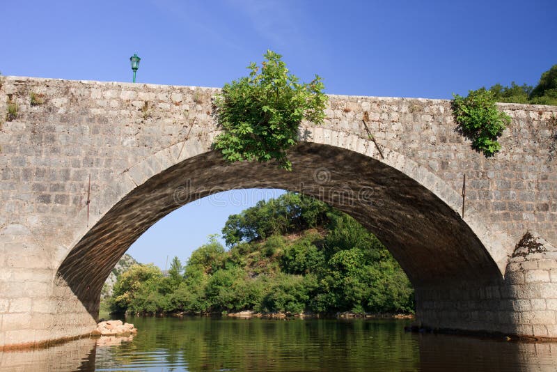 Single arch bridge stock image. Image of tree, historic - 18048895