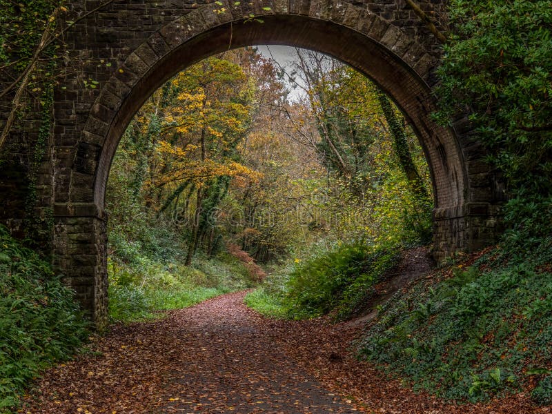 Single Arch Old Bridge on the Tarka Trail in North Devon. Autumn. Stock ...