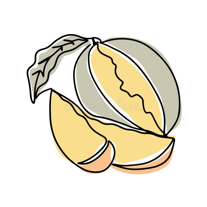 Single Art Drawing of Cut Mango in Boho Style Stock Illustration ...