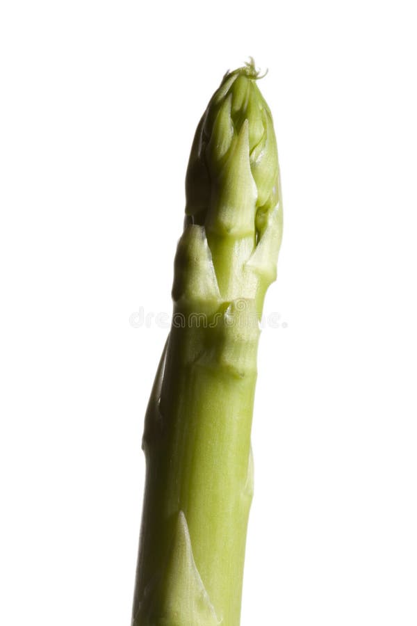 698 Single Asparagus Photos - Free & Royalty-Free Stock Photos from ...