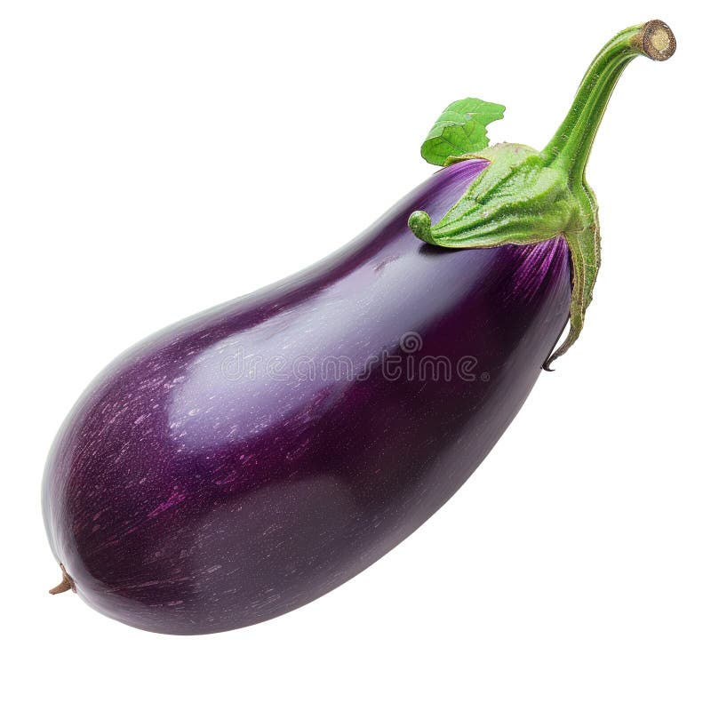 Auber Gene Stock Illustrations – 7 Auber Gene Stock Illustrations ...