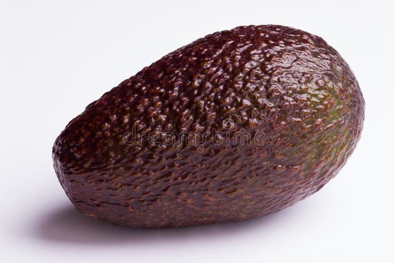 One Single Avocado among Leaves on Tree Stock Image - Image of products ...