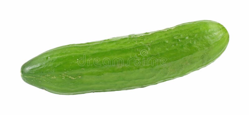 Single Cucumber Slice, Isolated Stock Image - Image of white, foods: 195789