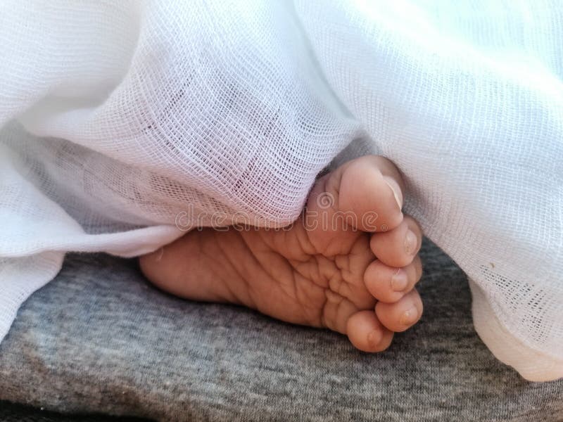 Single baby foot stock photo. Image of nose, limb, person - 230567948