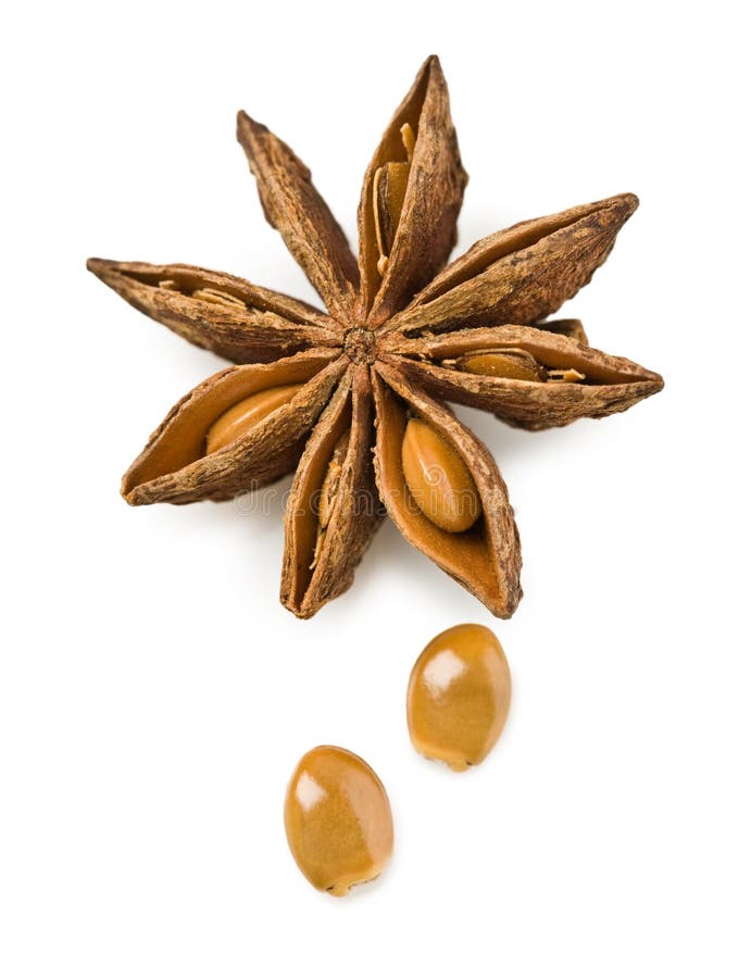 Single Badian Star With Grains Stock Photo - Image of herb, indian ...