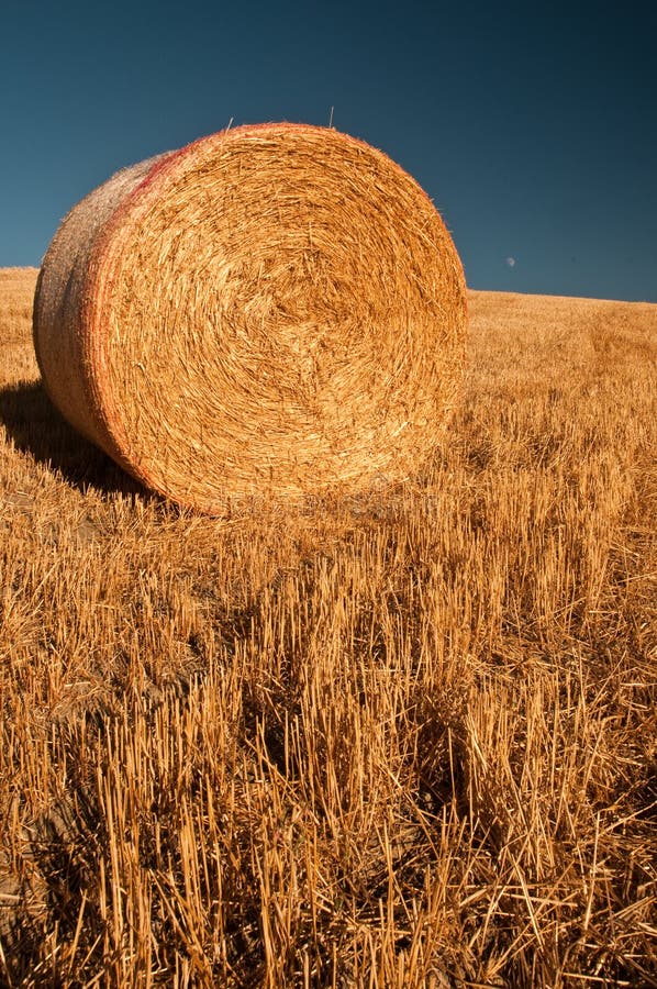 A Single Hay Bale stock photo. Image of summer, storage - 75177138